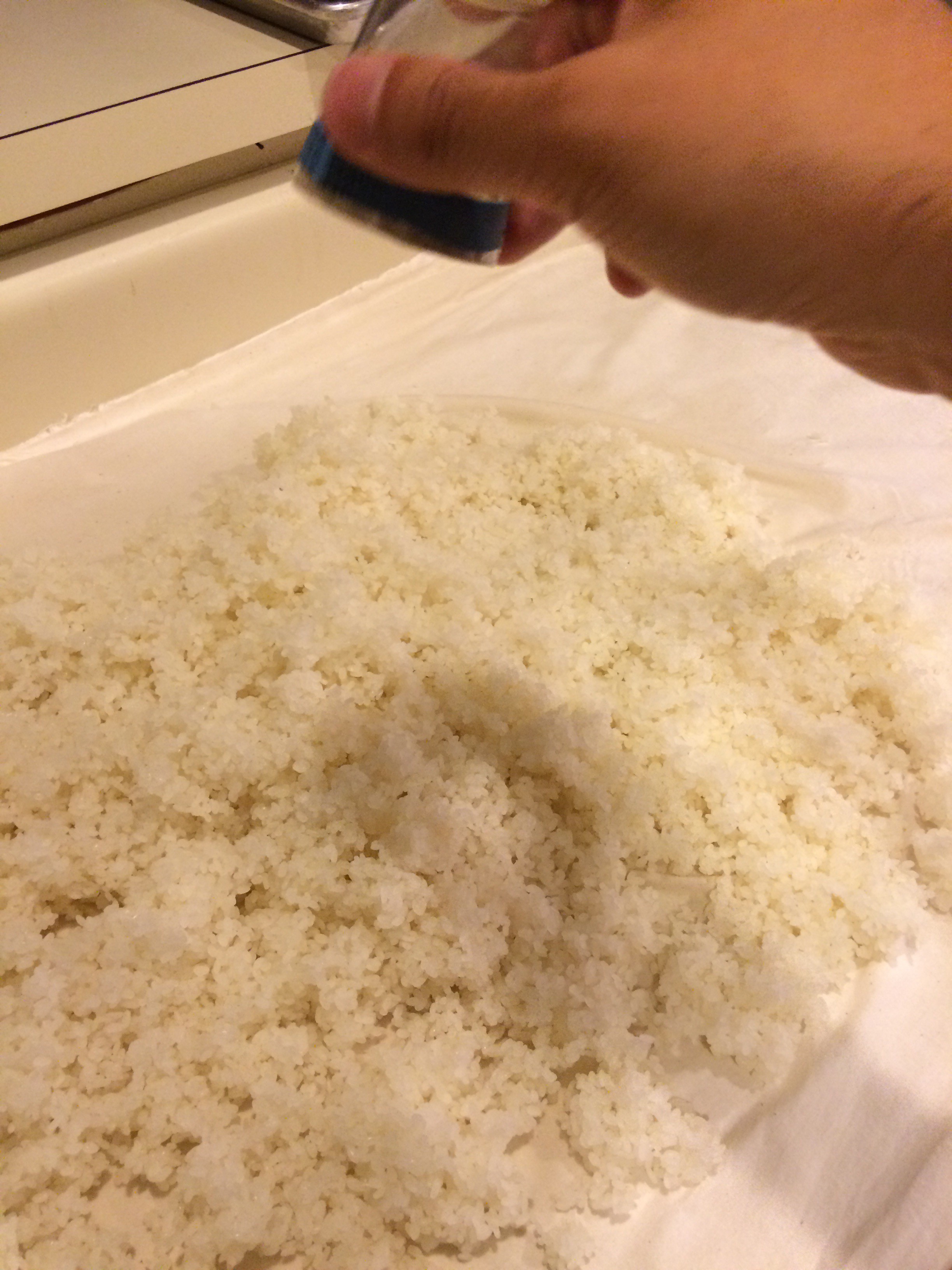 Making Koji [麹] – Sake South